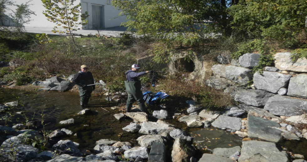 BWB walk with FORR volunteers along the Roland Run 10/21/22 | Friends ...