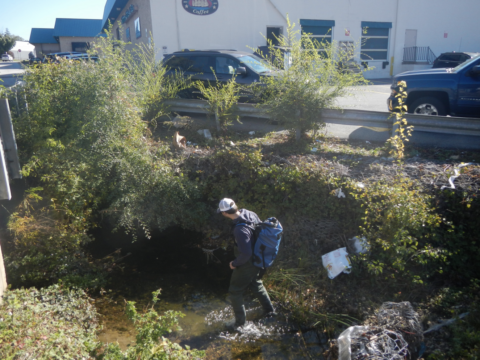 BWB walk with FORR volunteers along the Roland Run 10/21/22 | Friends ...